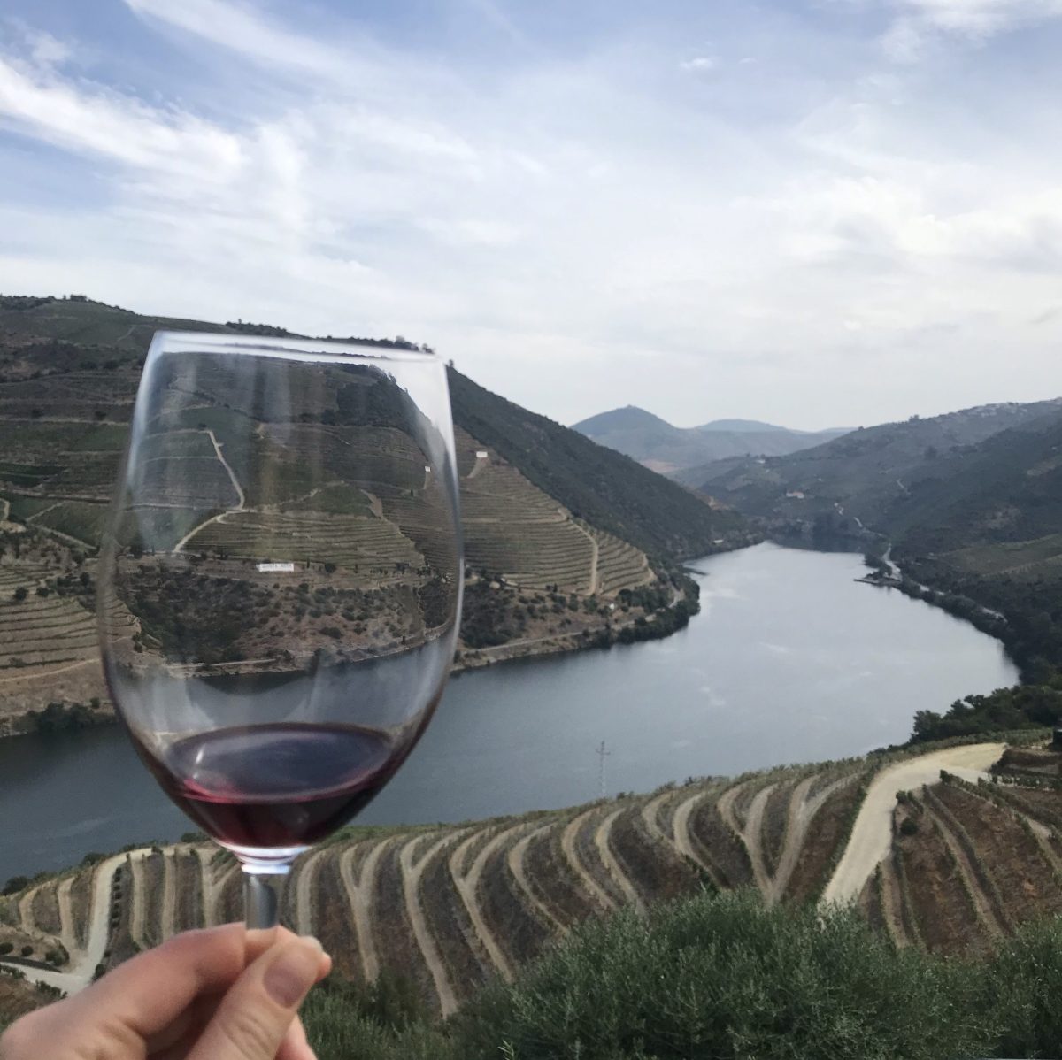 Douro Valley Top Winery Visits – Wine Levine